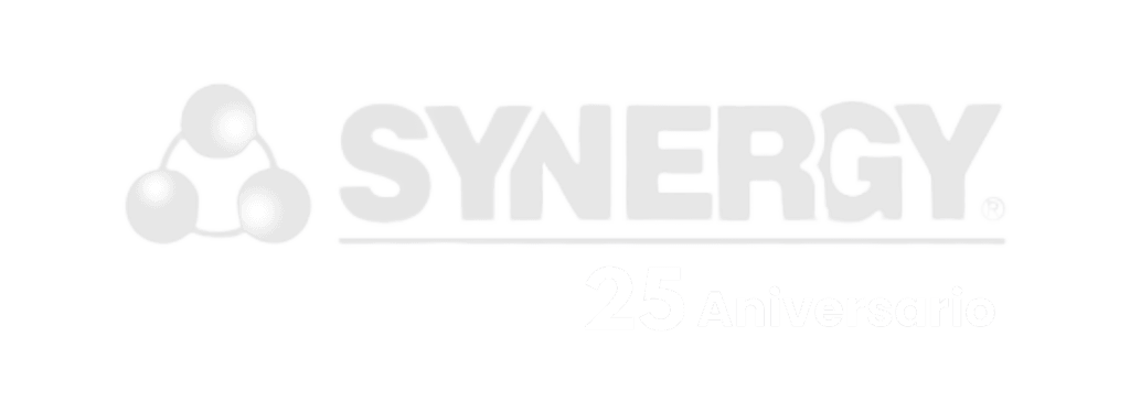 Synergy Ecuador – Soluciones Tecnológicas Corporativas